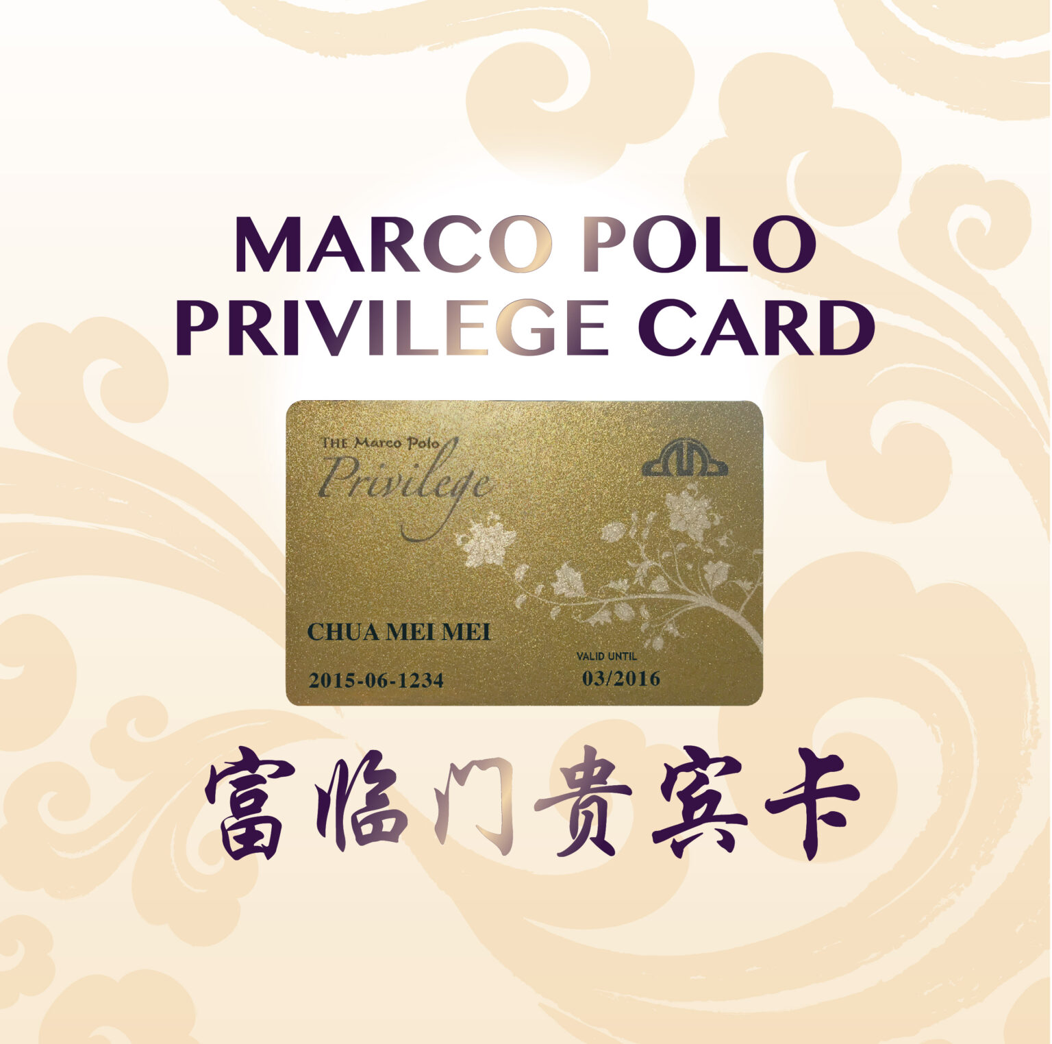 HOME - Marco Polo